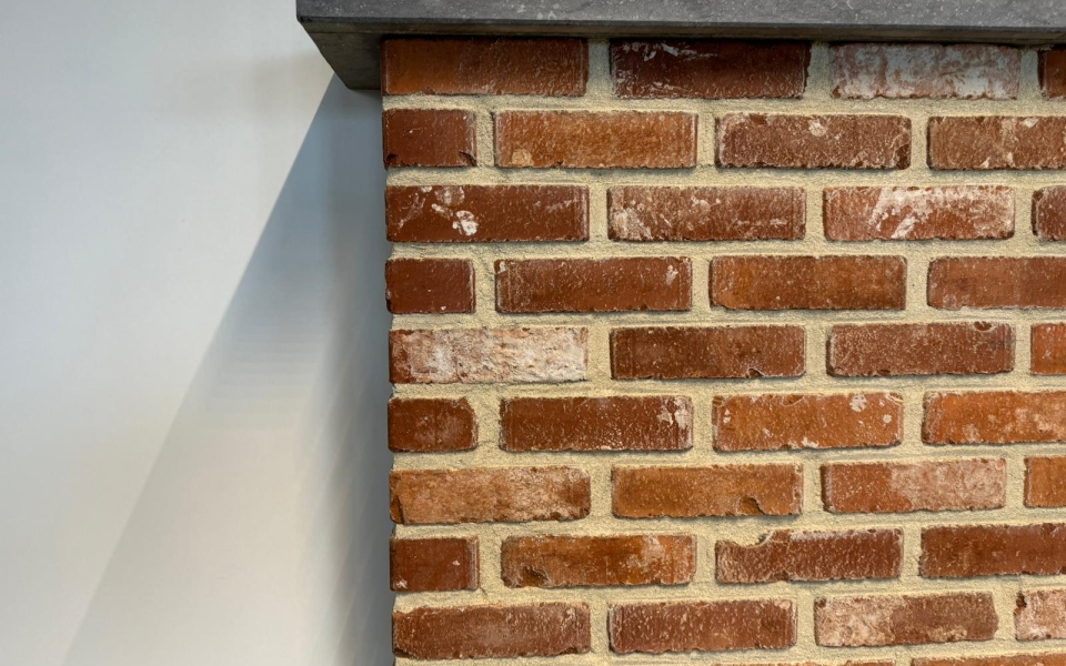 NIEUW | Cedral TECTA lei